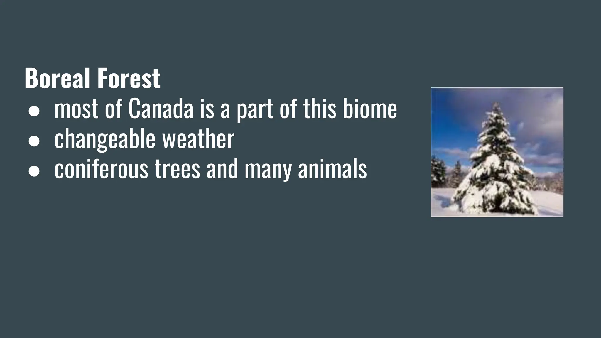 Biomes in Canada (how abiotic factors affect biomes).pptx