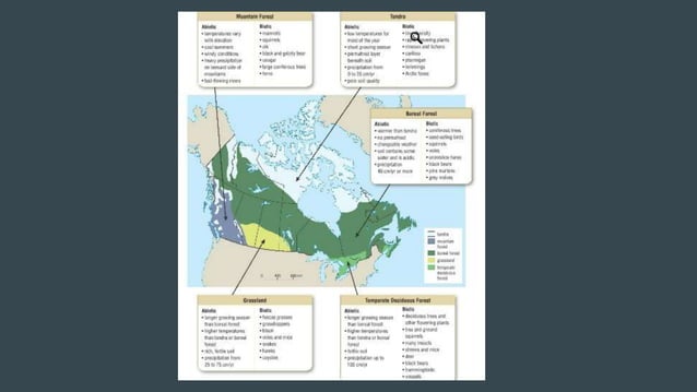 Biomes in Canada (how abiotic factors affect biomes).pptx