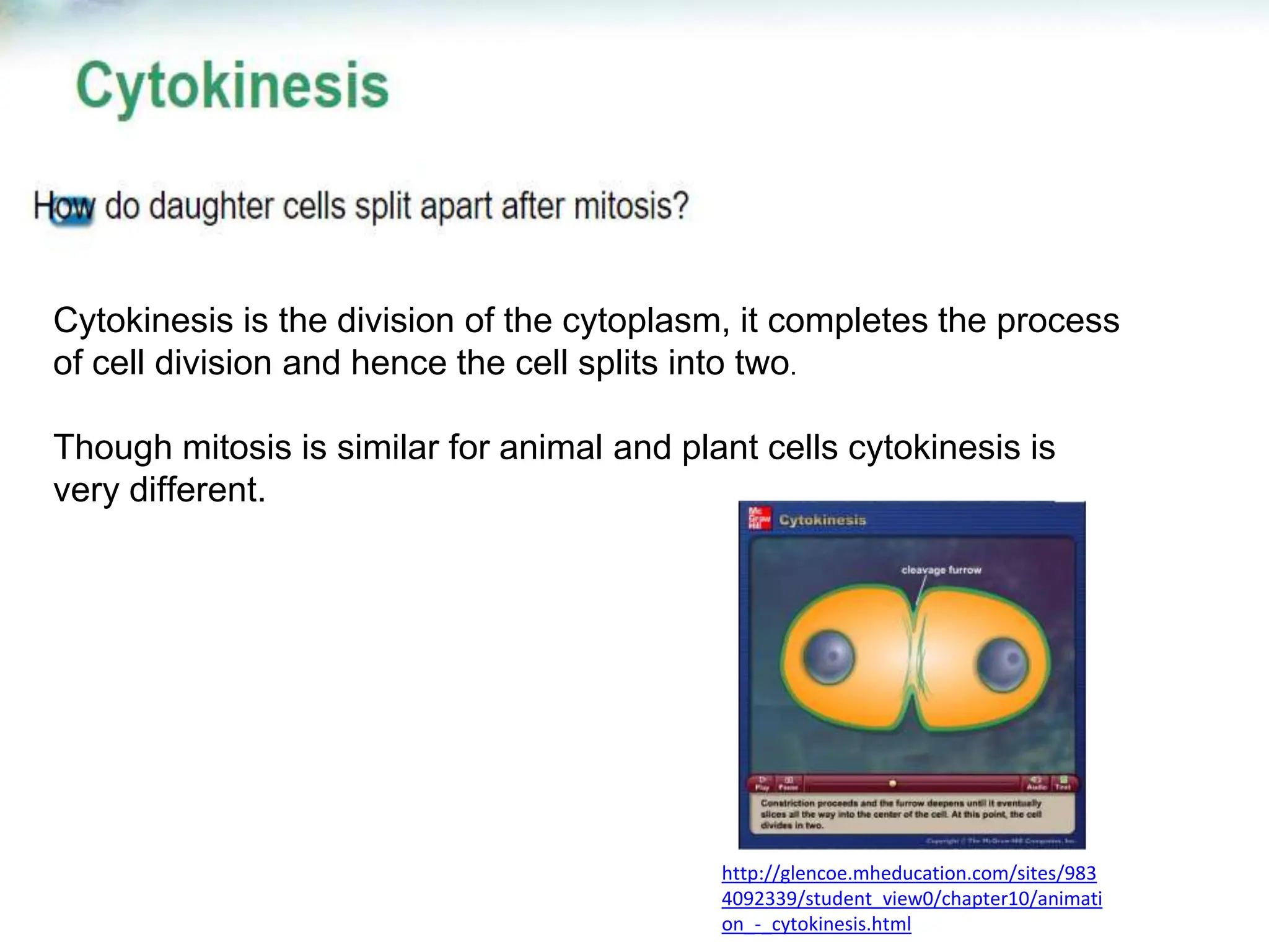 1.6 Cell division (CANCER,MITOSIS, DIVISION) | PPTX