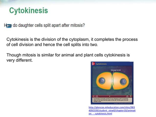 1.6 Cell division (CANCER,MITOSIS, DIVISION) | PPT
