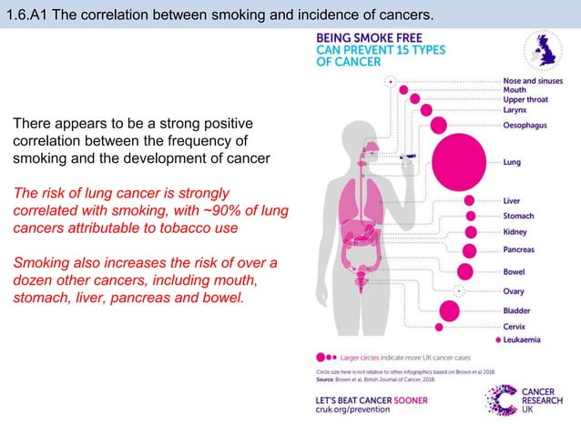1.6 Cell division (CANCER,MITOSIS, DIVISION) | PPT