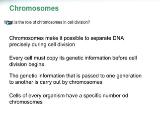 1.6 Cell division (CANCER,MITOSIS, DIVISION) | PPTX