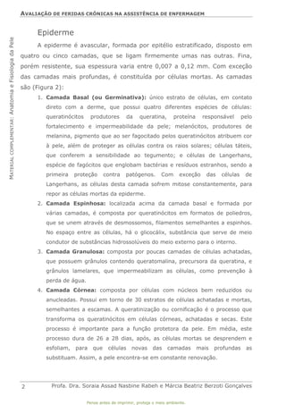 ANATOMIA E FISIOLOGIA DA PELE - SISTEMA TEGUMENTAR | PDF