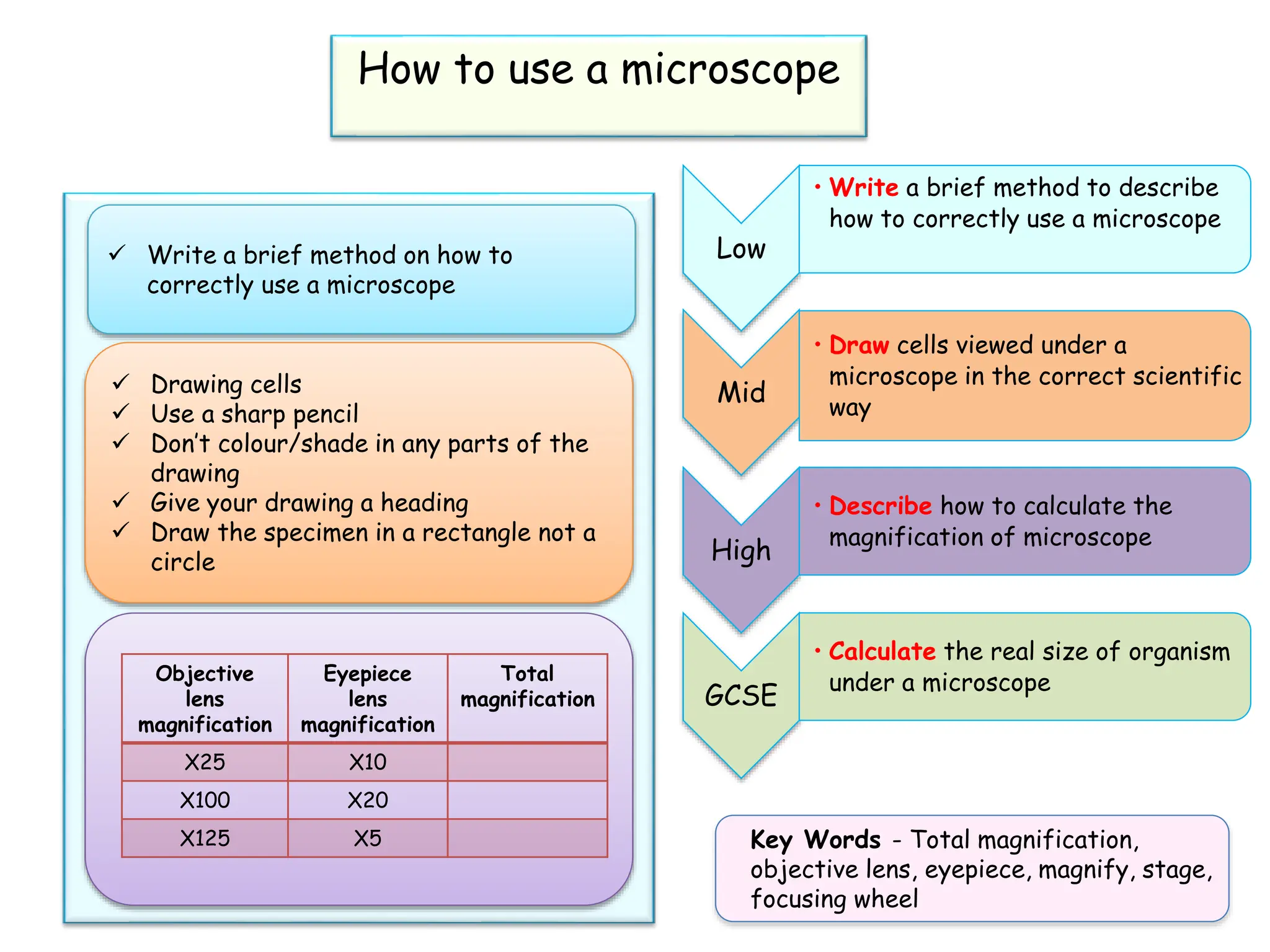IGCSE Year 7 Biology : Using Microscopes | PPT