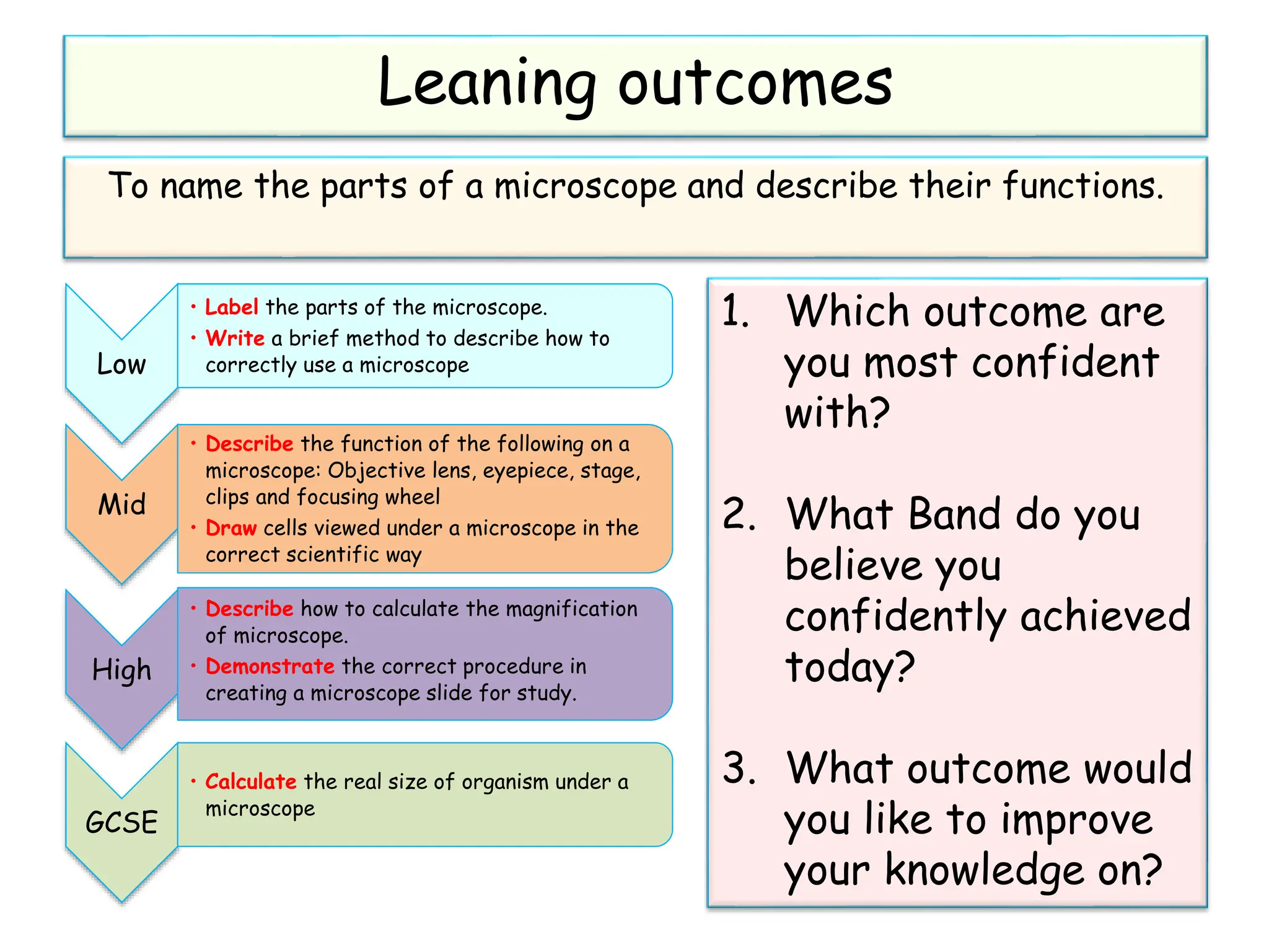 IGCSE Year 7 Biology : Using Microscopes | PPT