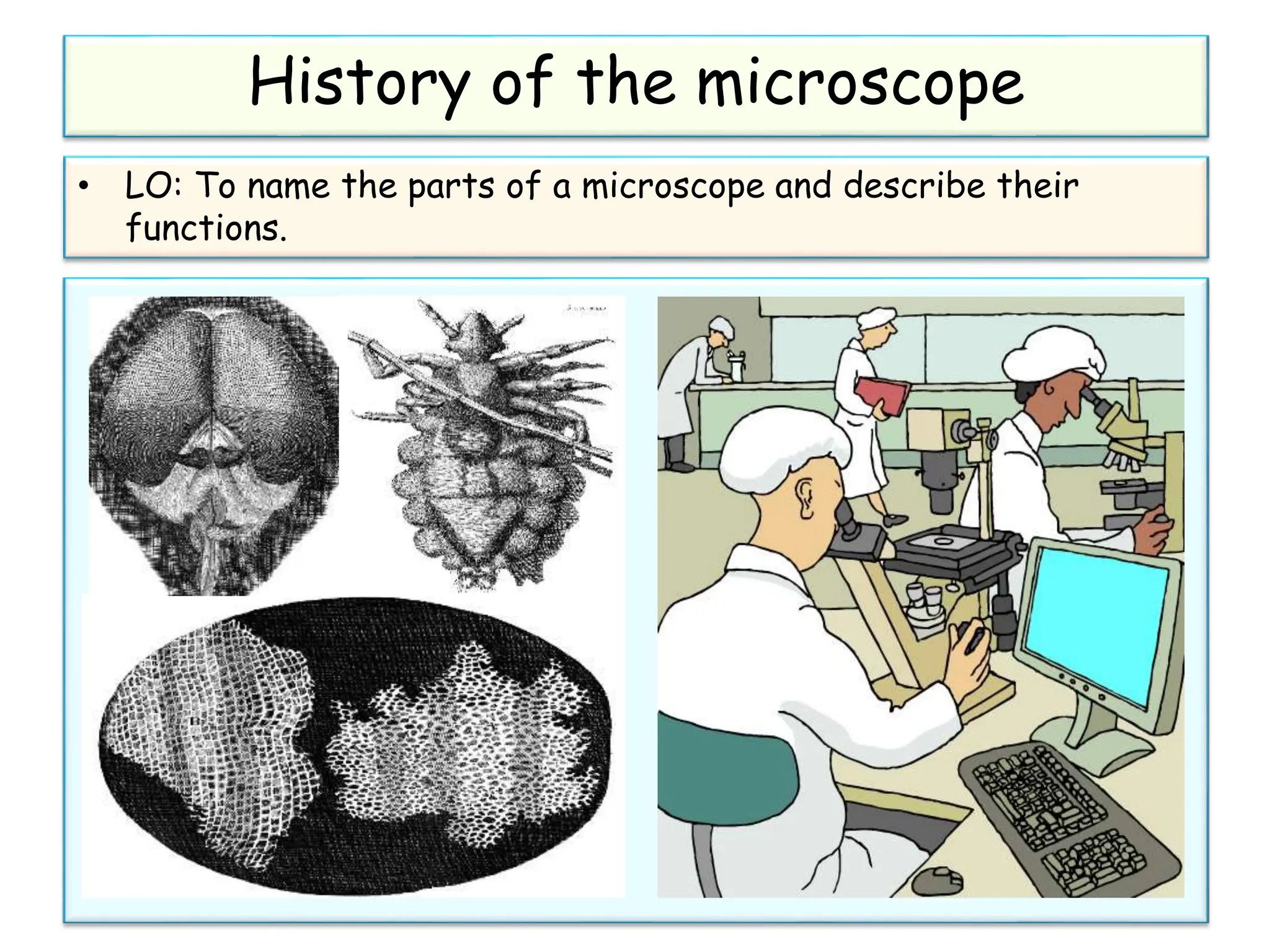 IGCSE Year 7 Biology : Using Microscopes | PPT