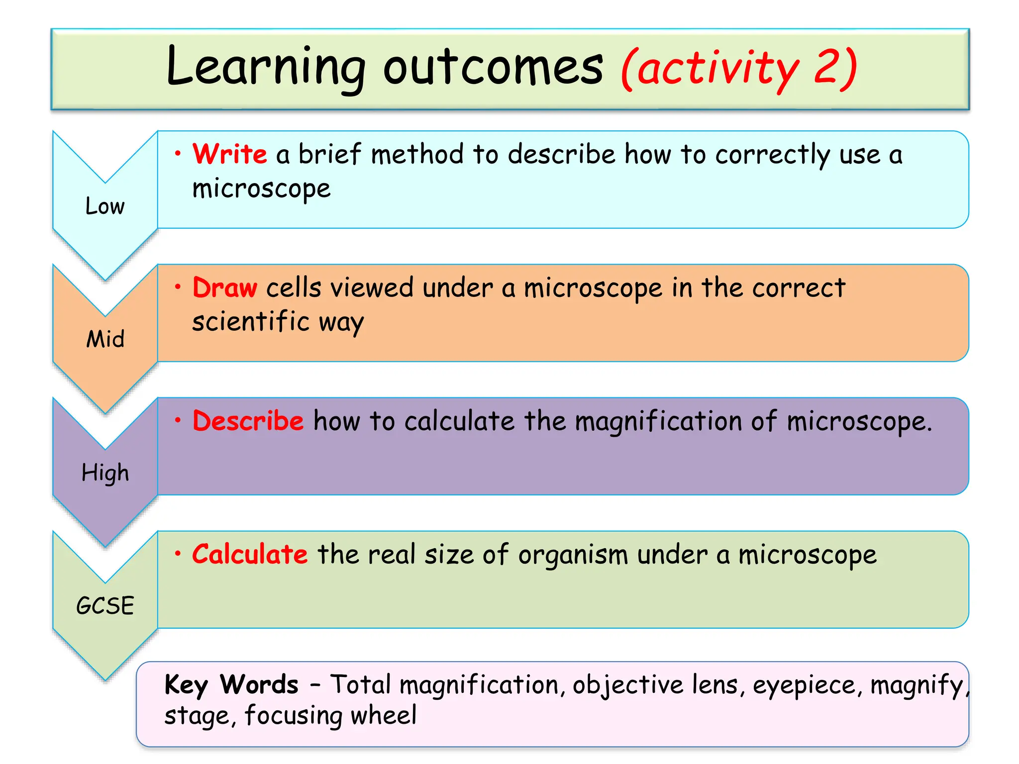 IGCSE Year 7 Biology : Using Microscopes | PPT