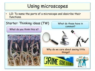 IGCSE Year 7 Biology : Using Microscopes | PPT