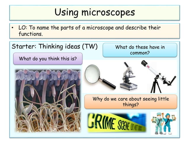 IGCSE Year 7 Biology : Using Microscopes | PPT | Photography | Arts and ...
