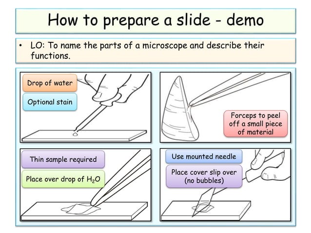 IGCSE Year 7 Biology : Using Microscopes | PPT | Photography | Arts and ...