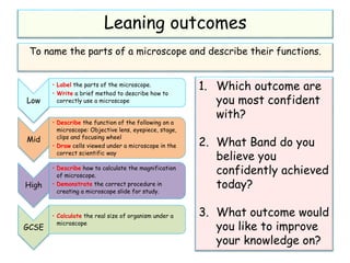 IGCSE Year 7 Biology : Using Microscopes | PPT