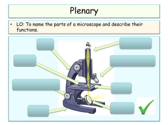 IGCSE Year 7 Biology : Using Microscopes | PPT | Photography | Arts and ...