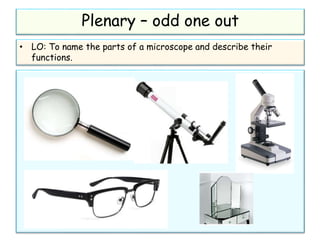 IGCSE Year 7 Biology : Using Microscopes | PPT