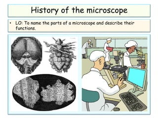 IGCSE Year 7 Biology : Using Microscopes | PPT