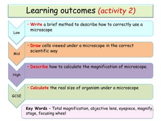 IGCSE Year 7 Biology : Using Microscopes | PPT