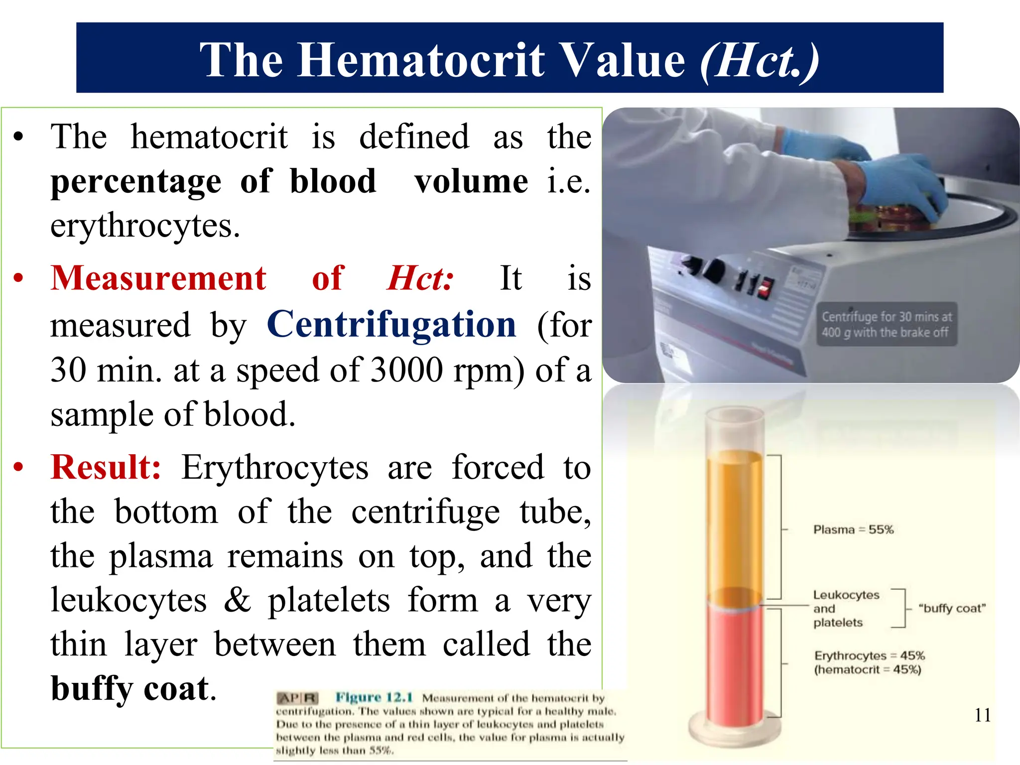 1.blood composition & functions. PHYSIOLOGY LECTURE BY Dr. Naqvi. pptx ...