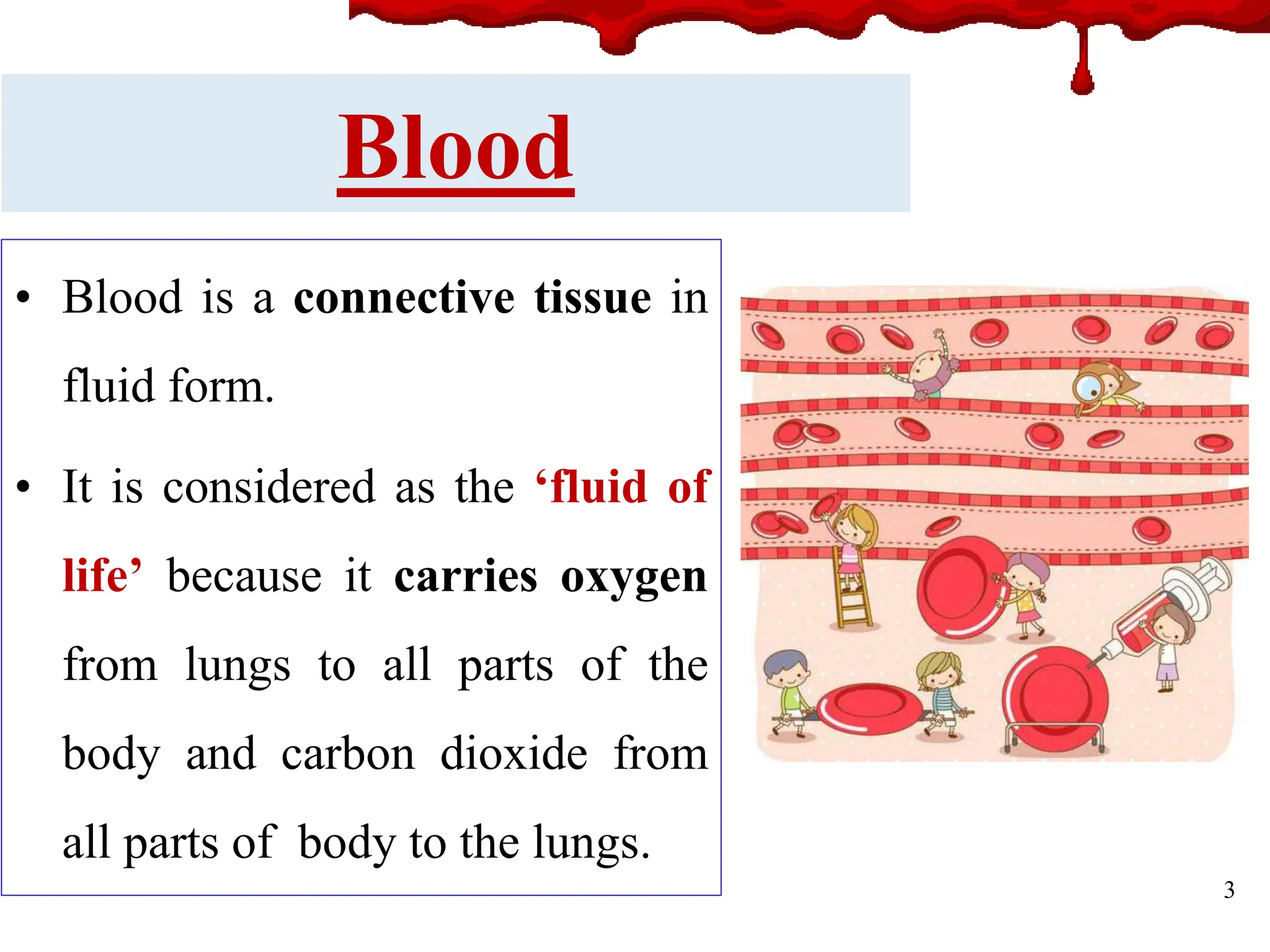 1.blood composition & functions. PHYSIOLOGY LECTURE BY Dr. Naqvi. pptx | PPTX