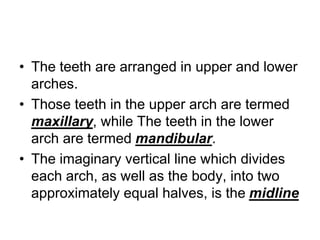 complete Introduction to dental anatomy.pptx