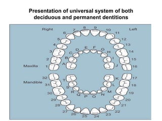 complete Introduction to dental anatomy.pptx