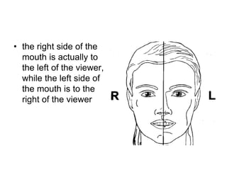 complete Introduction to dental anatomy.pptx
