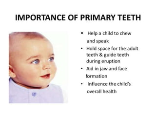 complete Introduction to dental anatomy.pptx