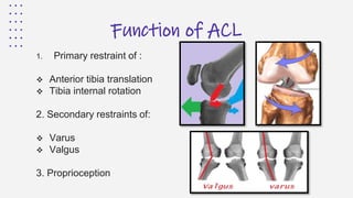 1.Update on ACL injuries and management NOOR AZMI MN (2).pptx | Death ...