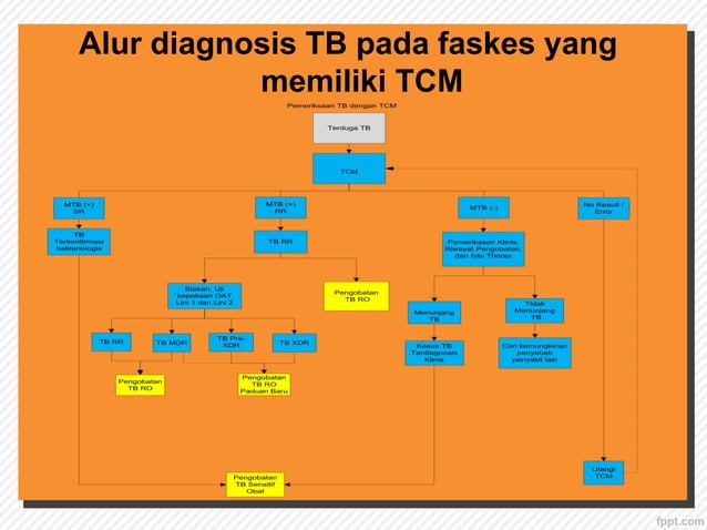 1. Penemuan TB RO di layanan kesehatan indonesia | PPT