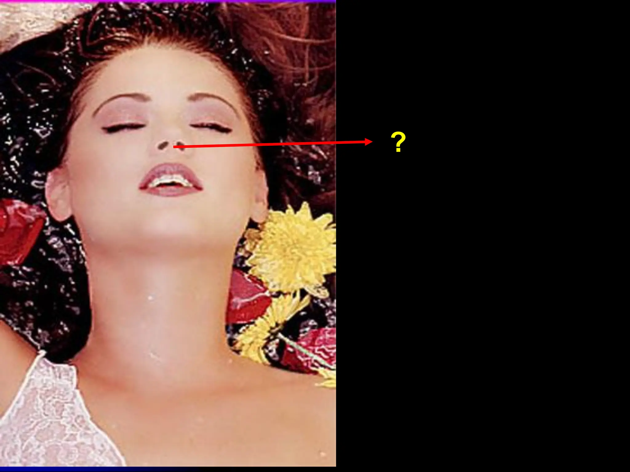 Giai phau he ho hap - Giai phau he ho hap mui | PPT