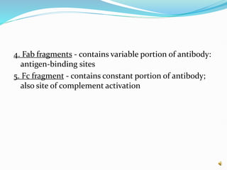 1.immunohaematology introduction to hematology.pptx