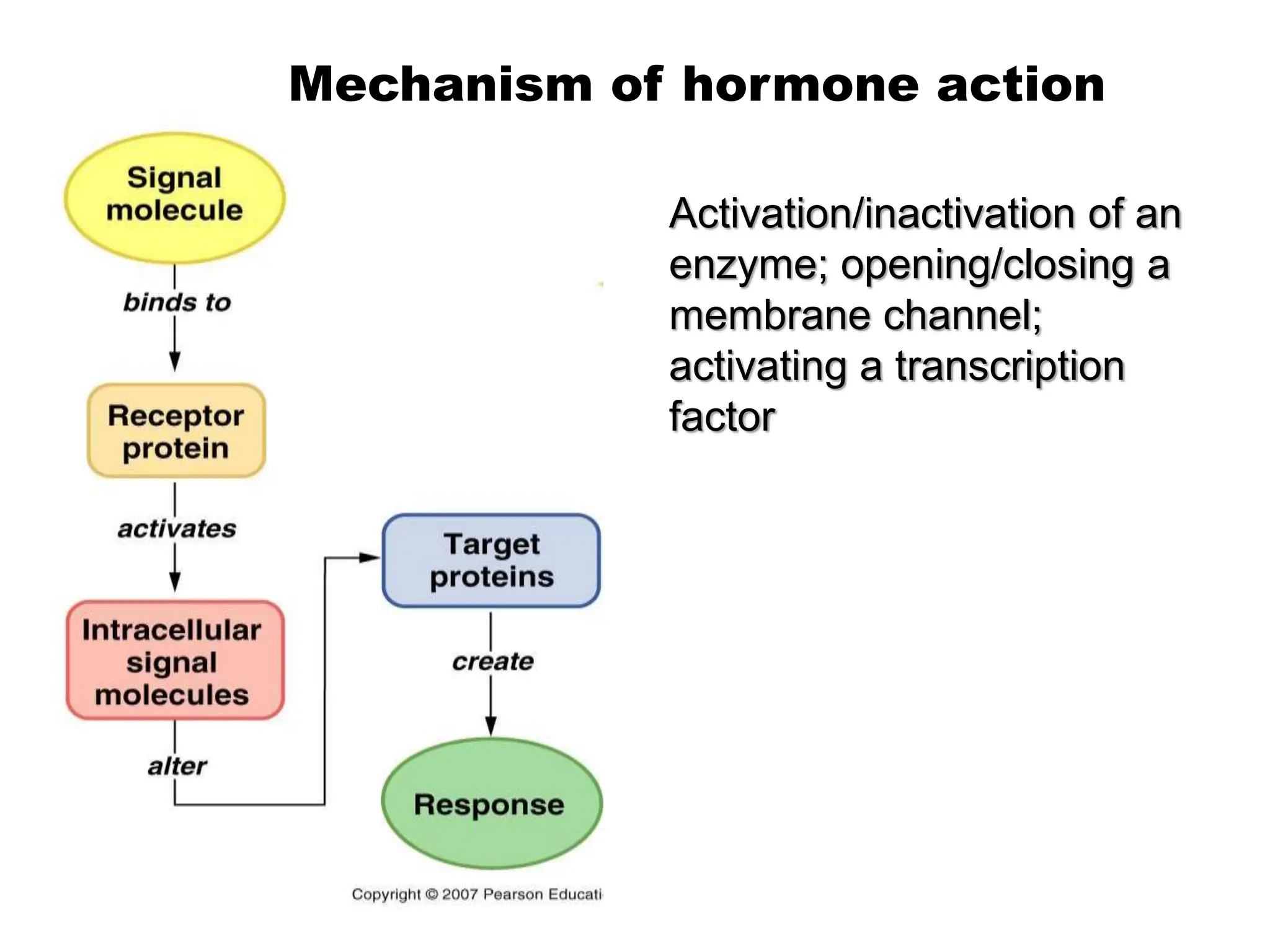 1. Hormones and their examples, characteristics | PPT