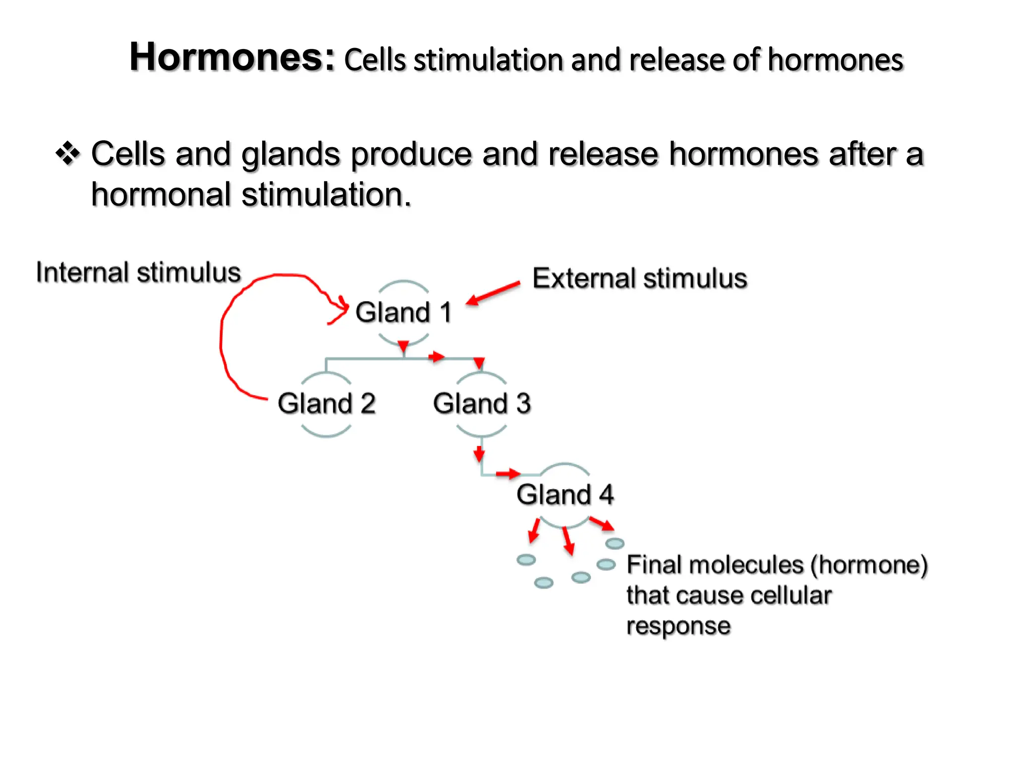 1. Hormones and their examples, characteristics | PPT