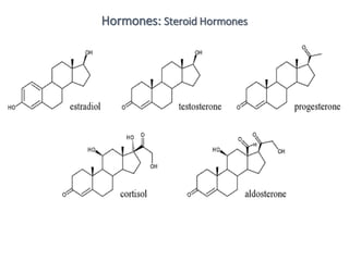 1. Hormones and their examples, characteristics | PPT