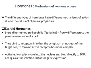 1. Hormones and their examples, characteristics | PPT