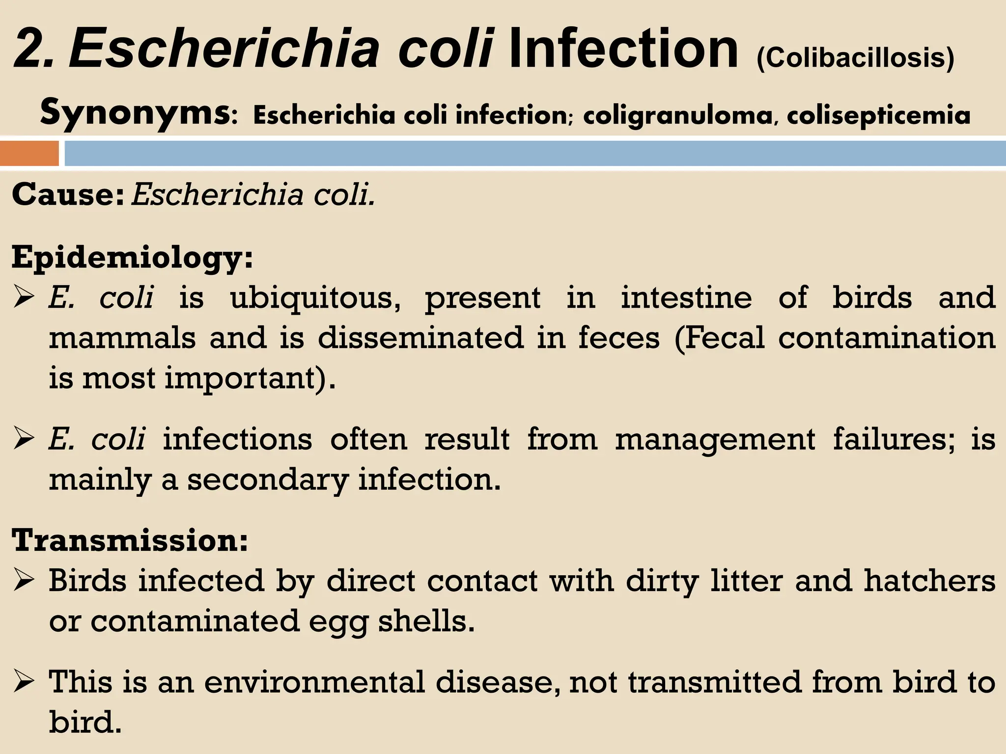 Important Poultry Diseases for all poultry keepers and those who wants ...