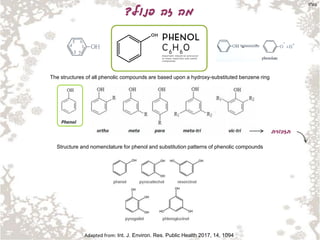 Polyphenols in must and wine - an overview | PPT