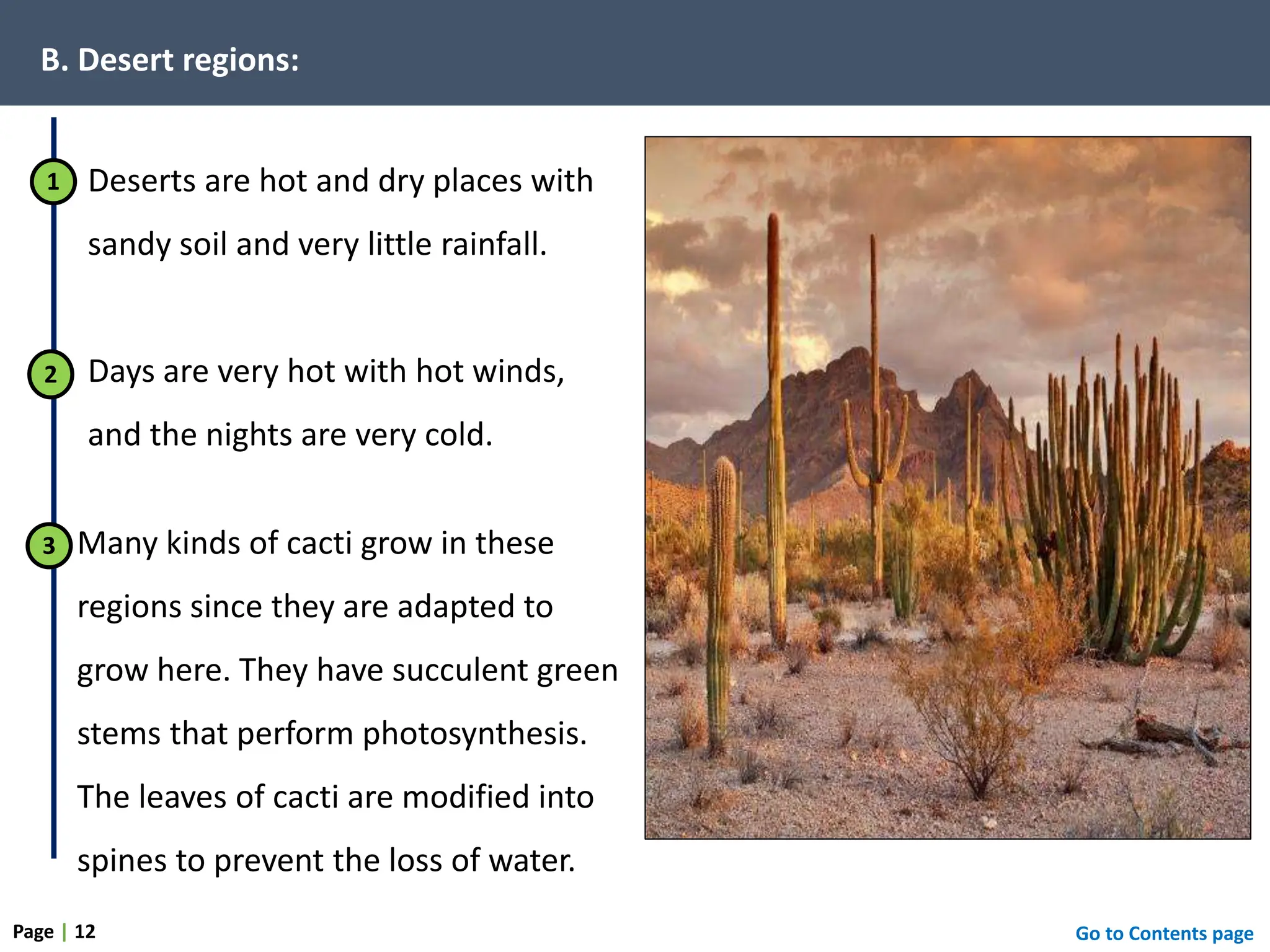 1. Grade 5-Adaptations and Interdependence of Plants and ...