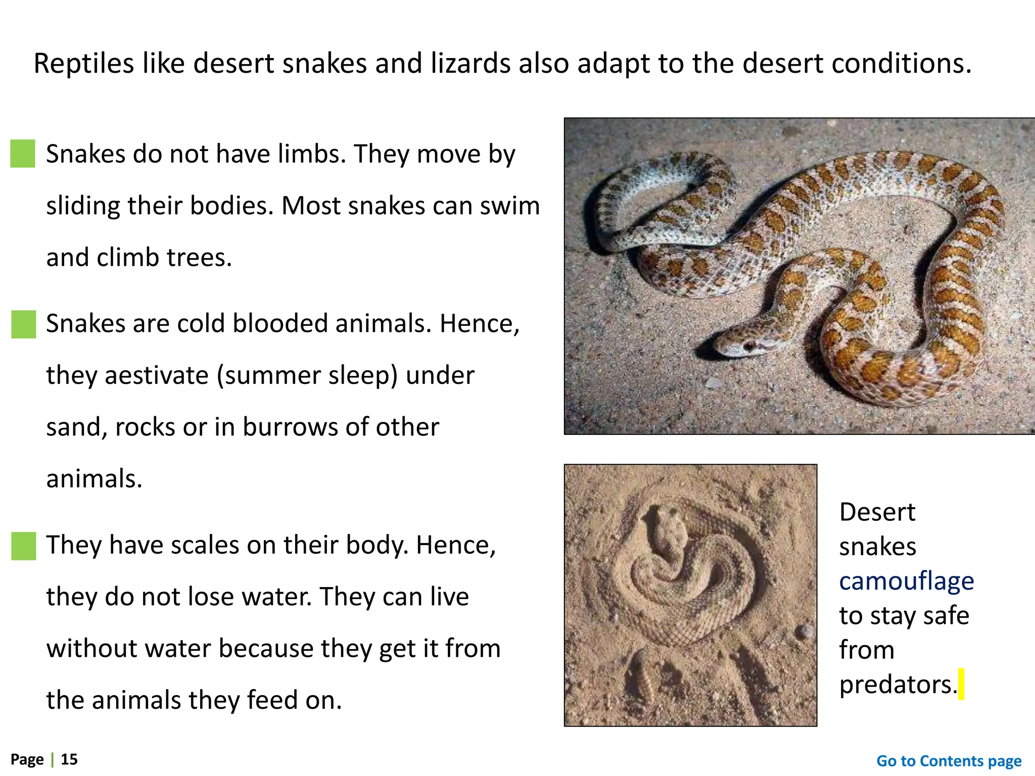1. Grade 5-Adaptations and Interdependence of Plants and ...