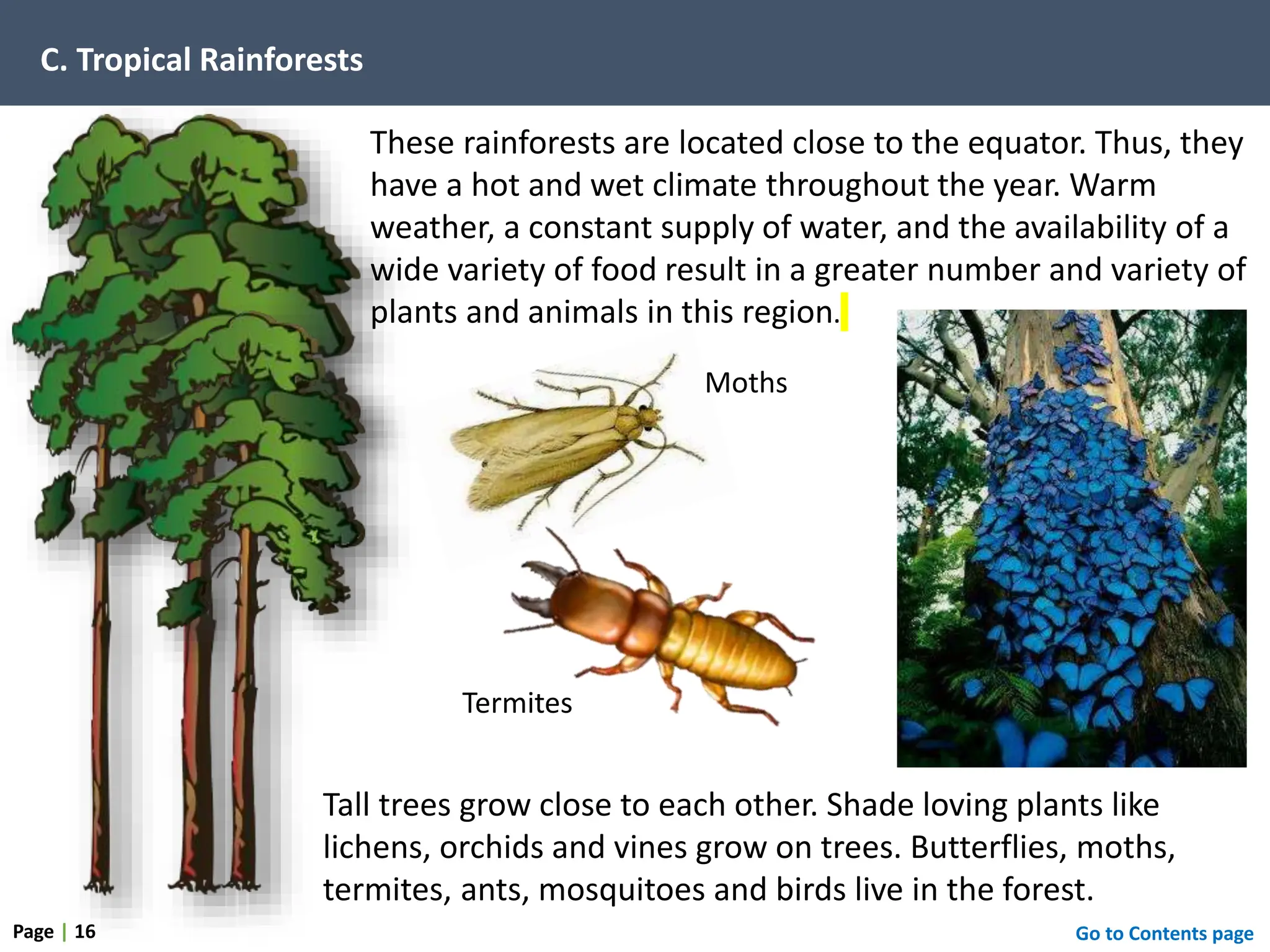 1. Grade 5-Adaptations and Interdependence of Plants and ...