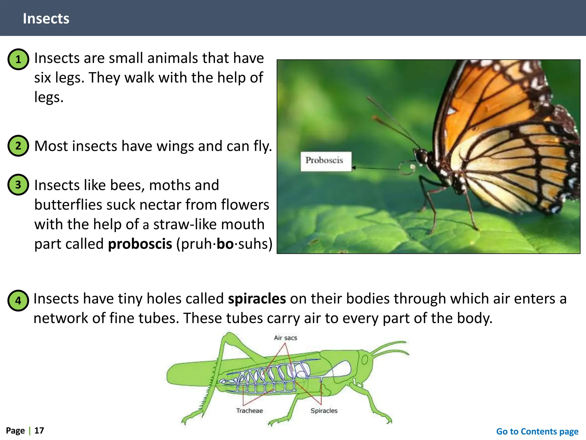 1. Grade 5-Adaptations and Interdependence of Plants and ...