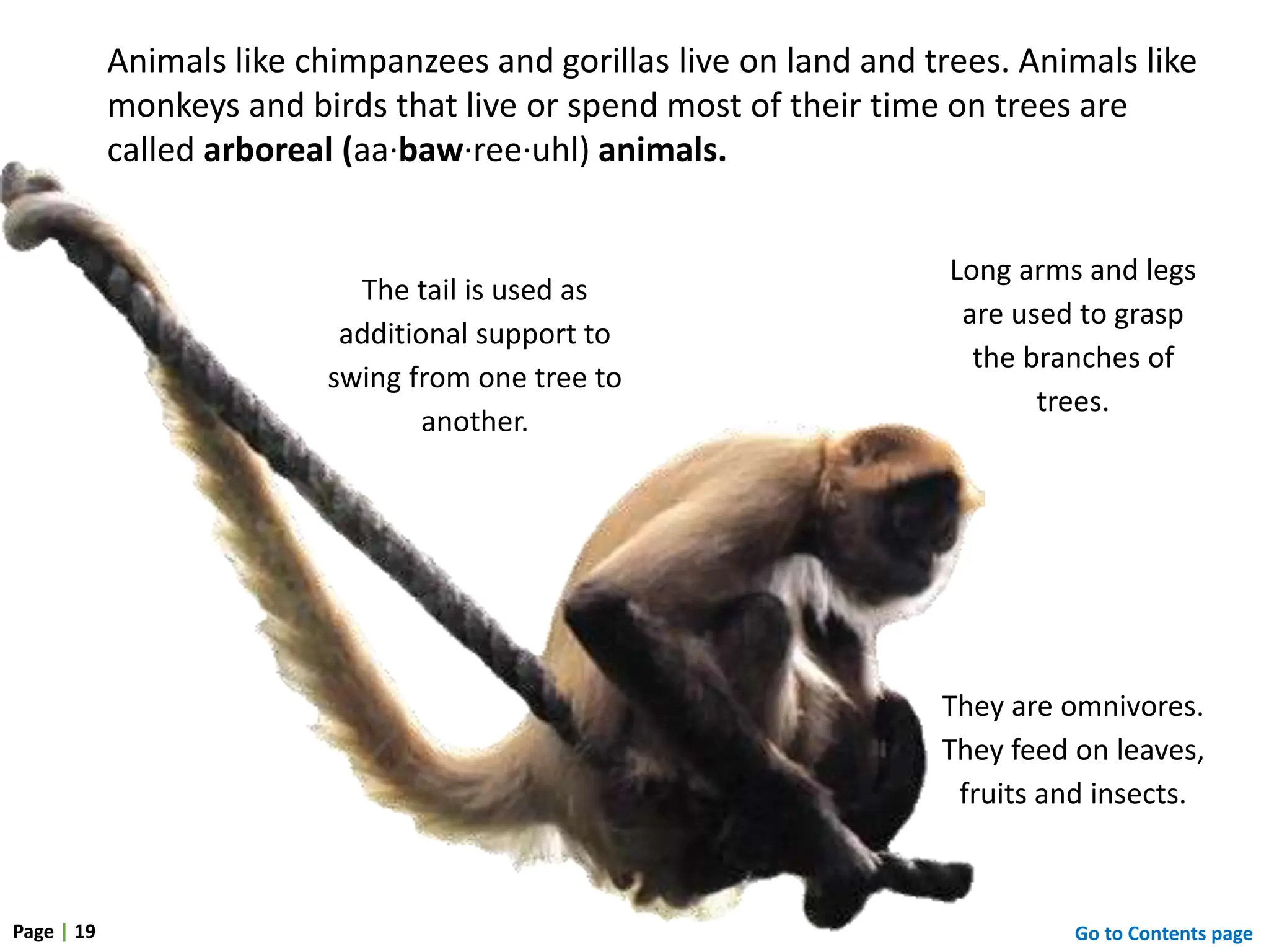 1. Grade 5-Adaptations and Interdependence of Plants and ...