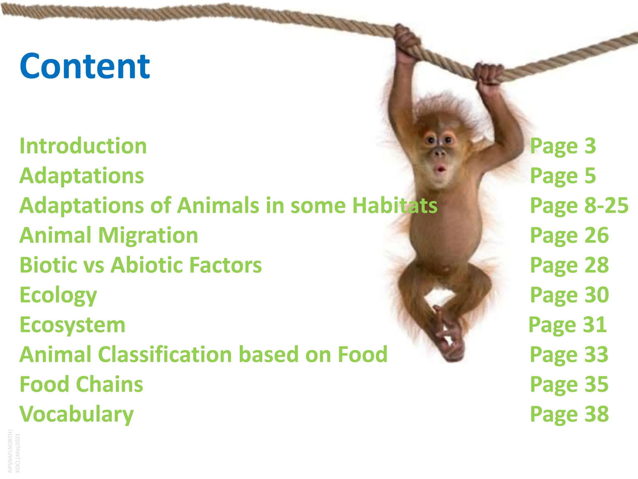 1. Grade 5-Adaptations and Interdependence of Plants and ...