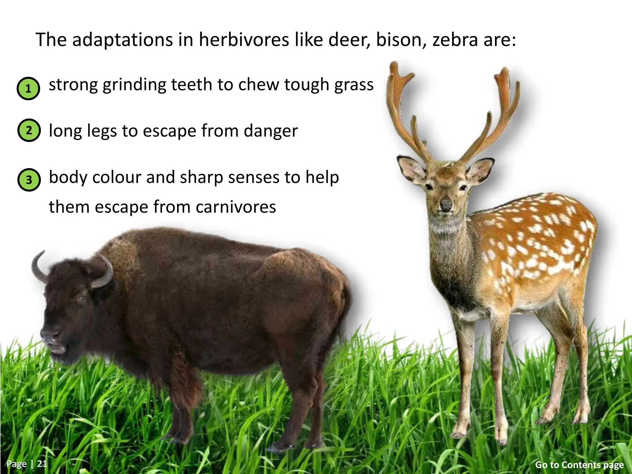 1. Grade 5-Adaptations and Interdependence of Plants and ...