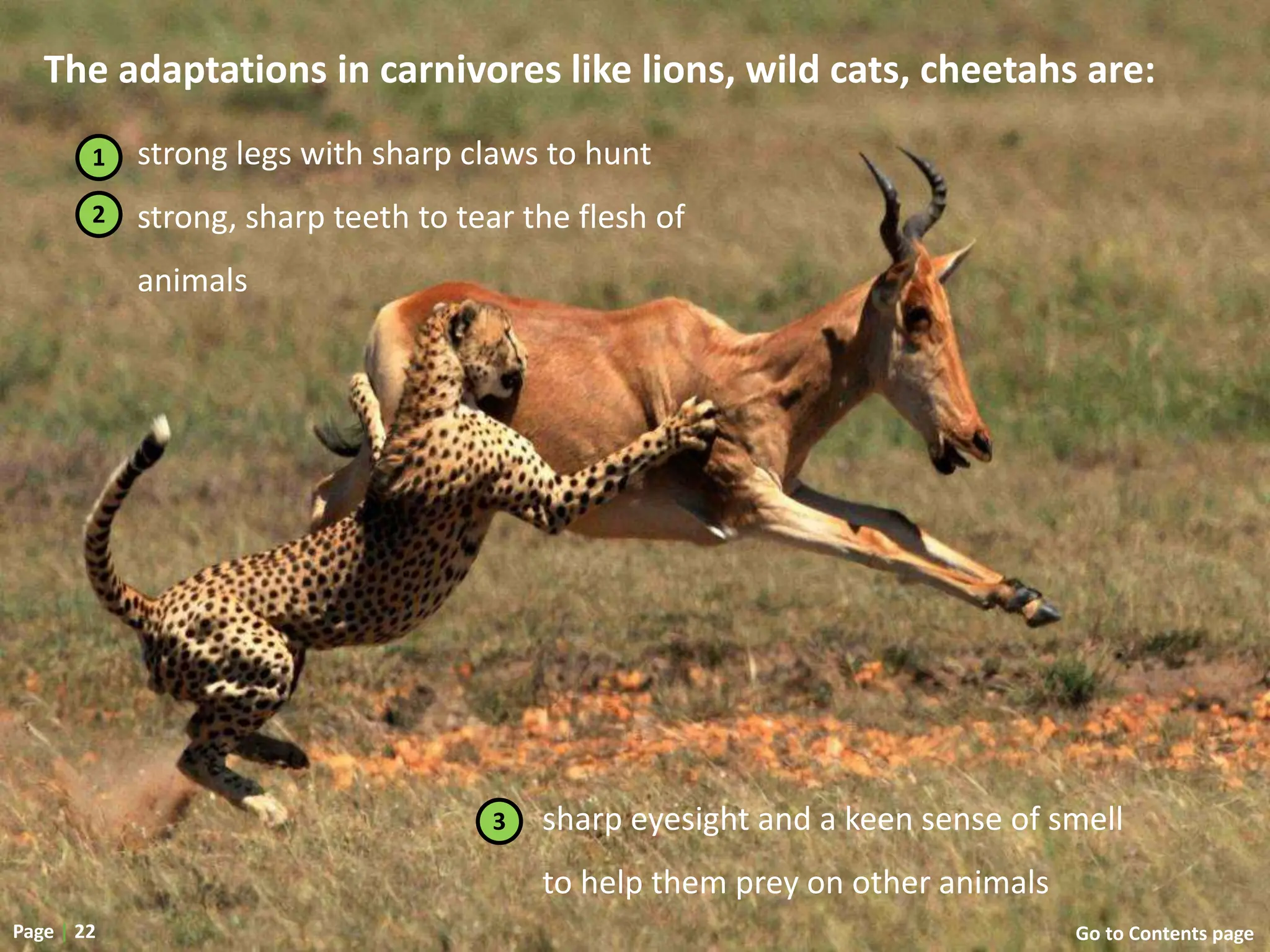1. Grade 5-Adaptations and Interdependence of Plants and ...