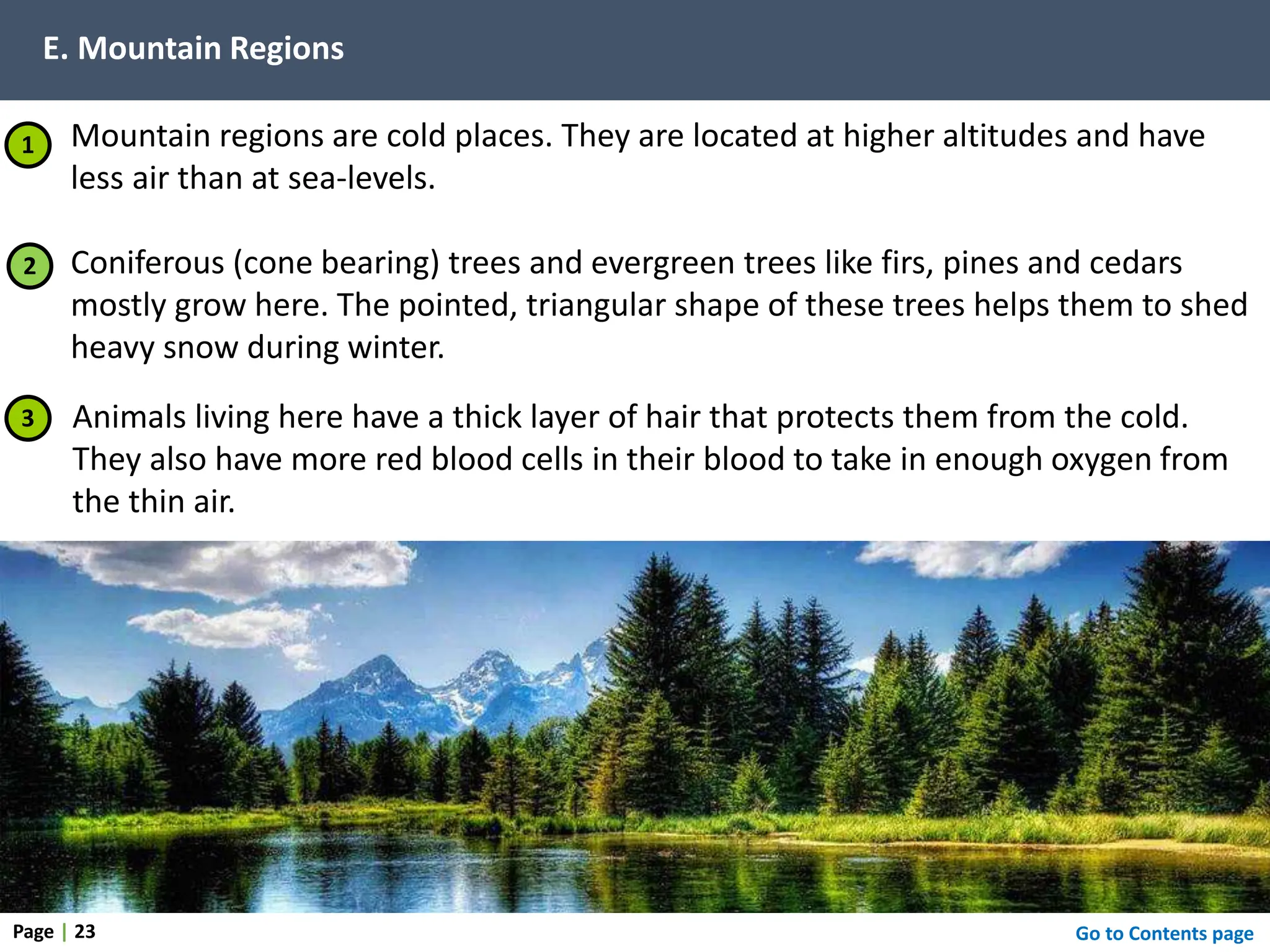 1. Grade 5-Adaptations and Interdependence of Plants and ...
