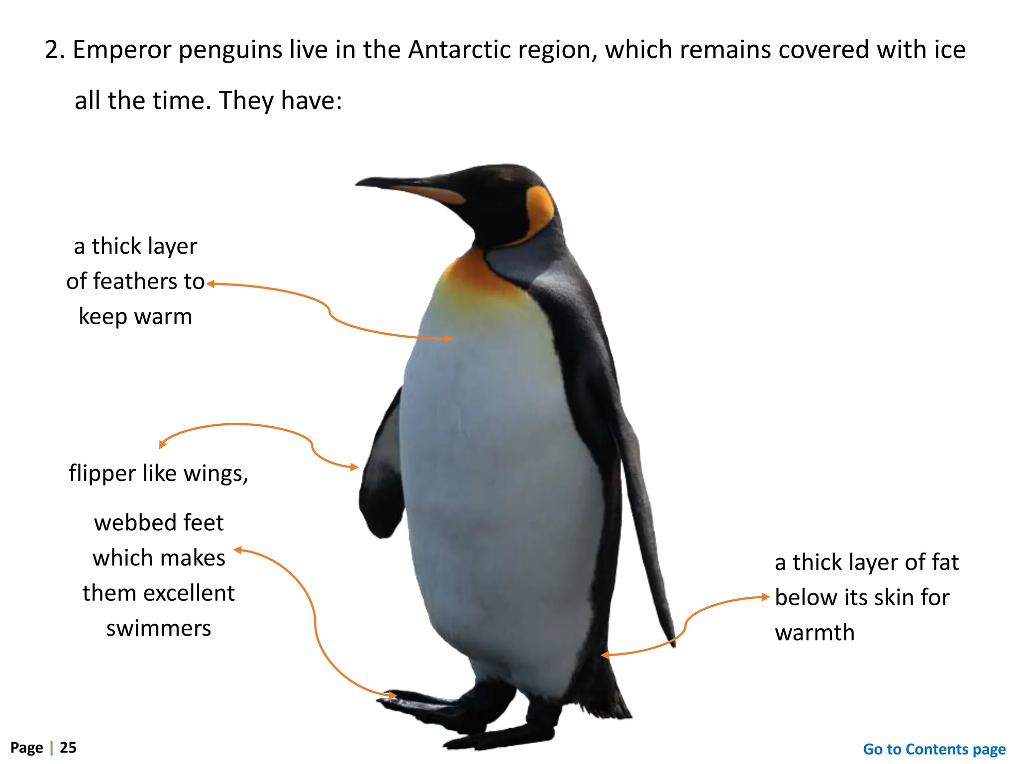 1. Grade 5-Adaptations and Interdependence of Plants and ...