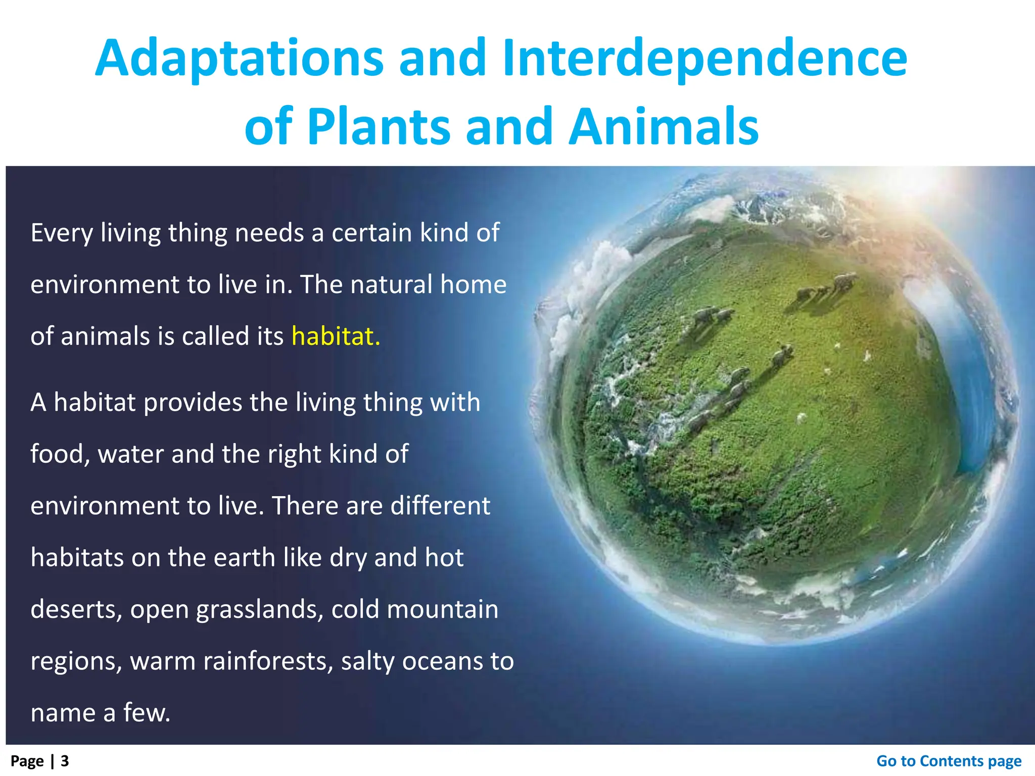 1. Grade 5-Adaptations and Interdependence of Plants and ...