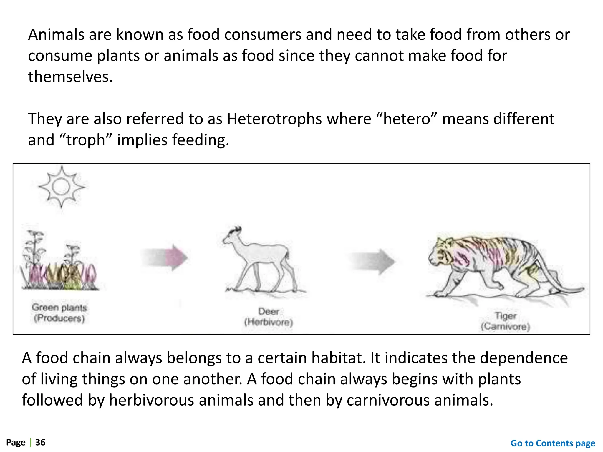 1. Grade 5-Adaptations and Interdependence of Plants and ...