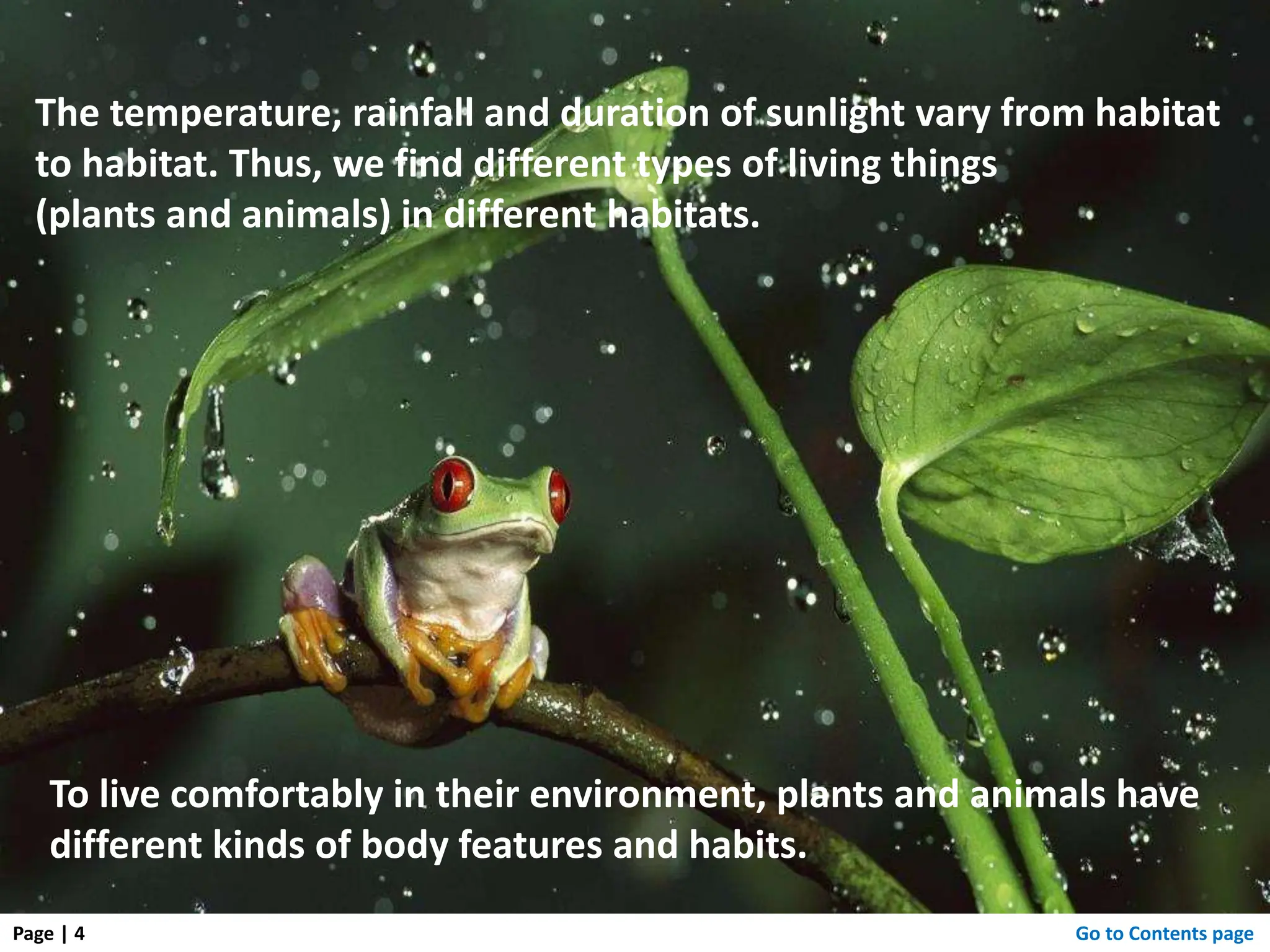 1. Grade 5-Adaptations and Interdependence of Plants and ...