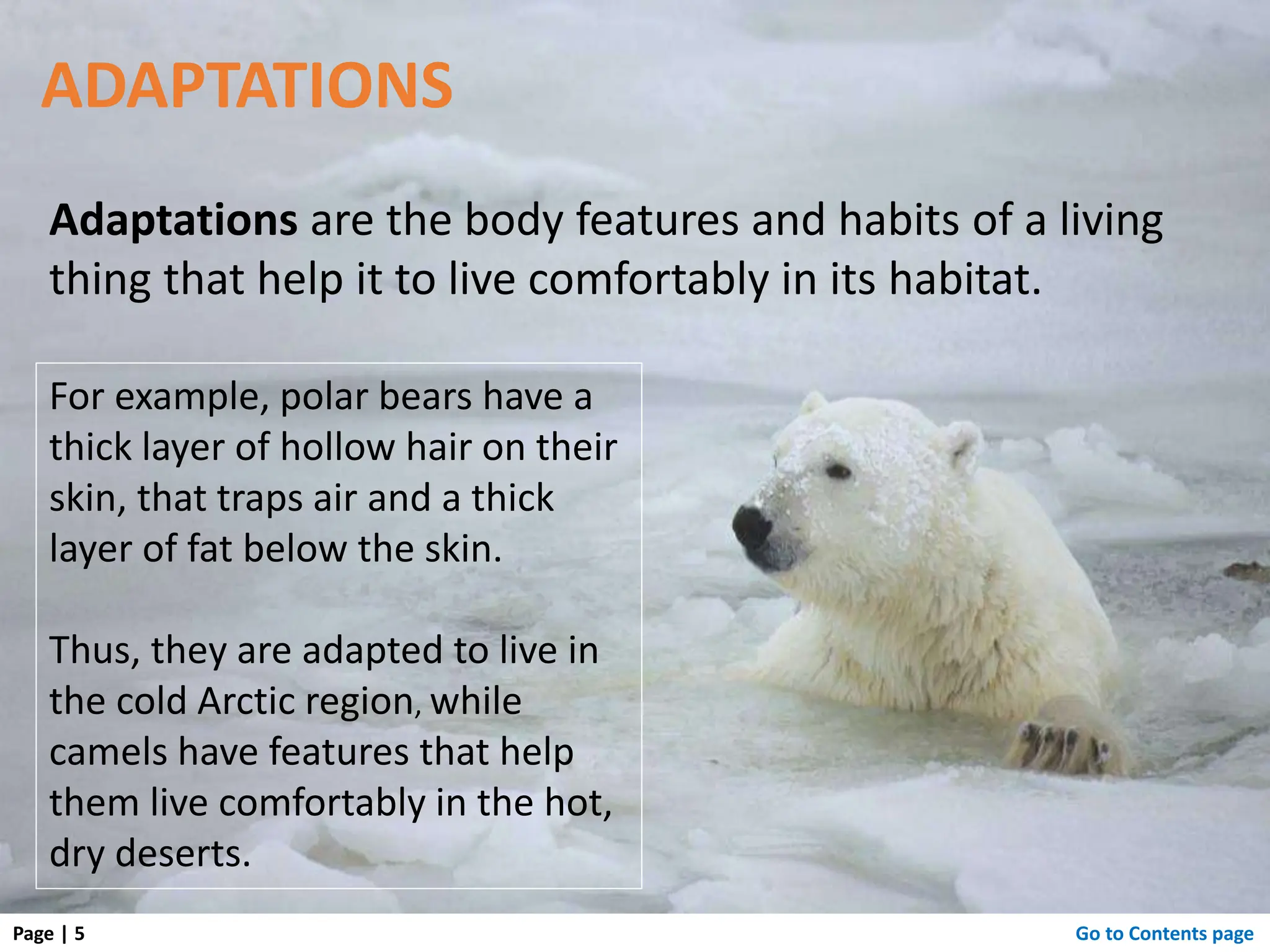 1. Grade 5-Adaptations and Interdependence of Plants and ...