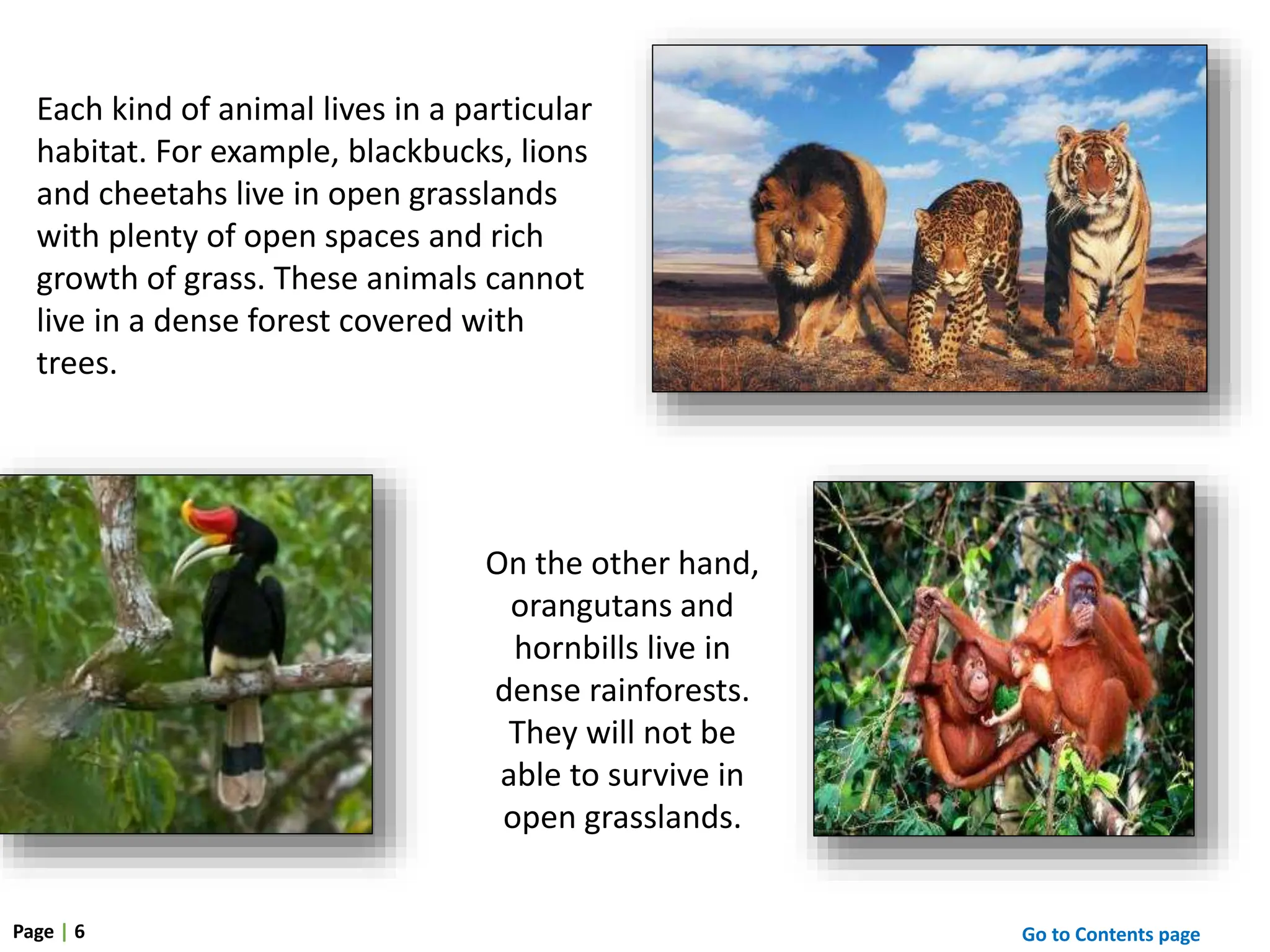 1. Grade 5-Adaptations and Interdependence of Plants and ...